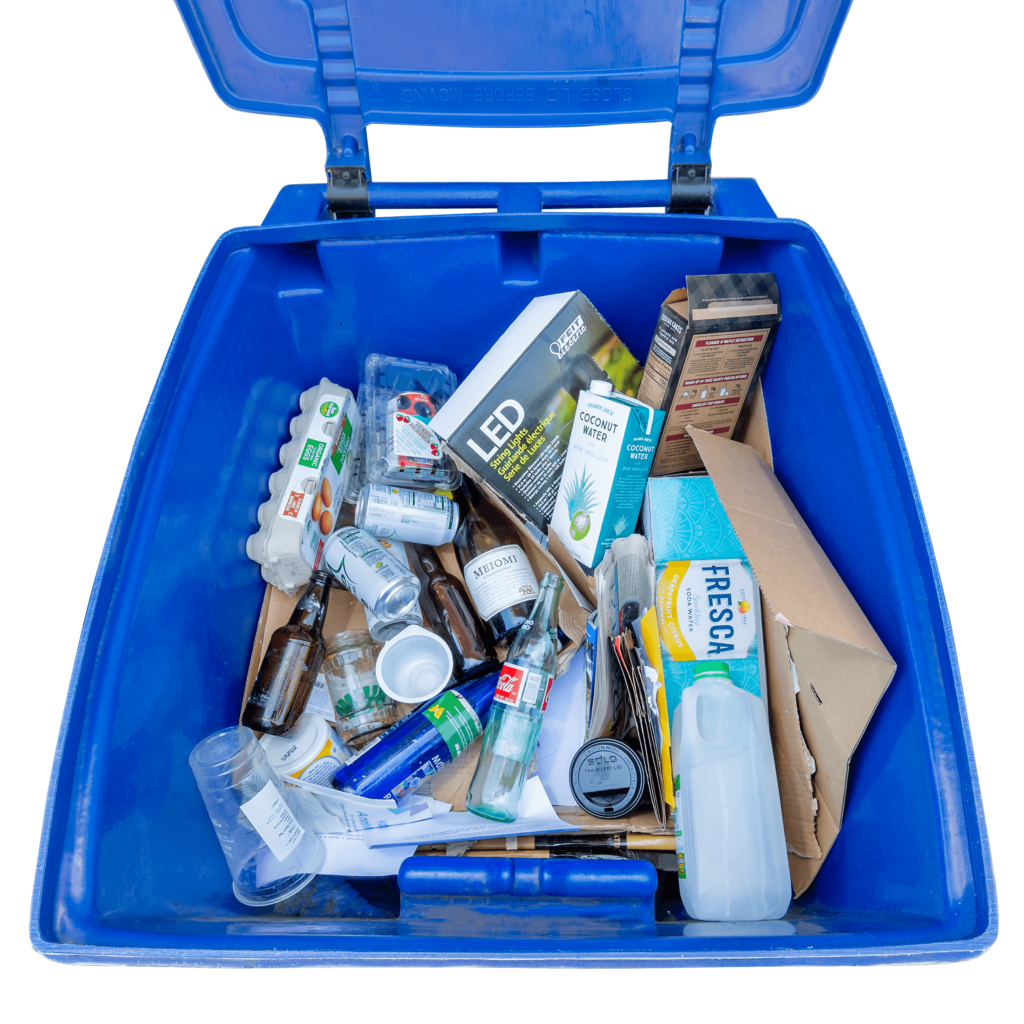 Guidelines - Ej Harrison