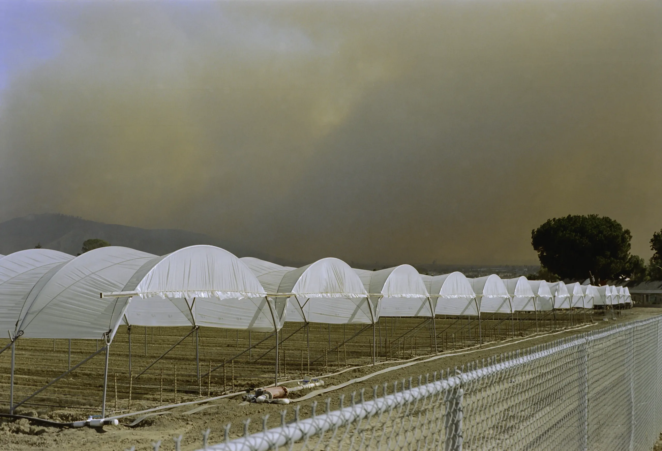 Trash Collection Resumes for Mountain Fire Affected Areas - Ej Harrison